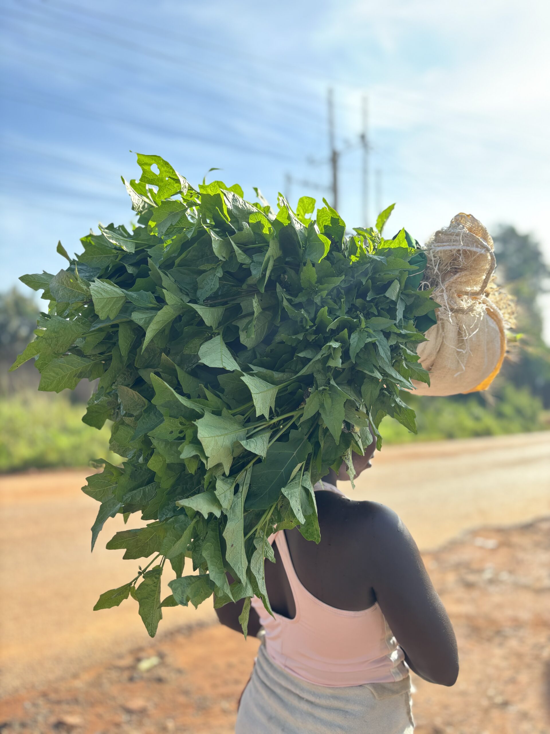 Our Stories - WI-HER